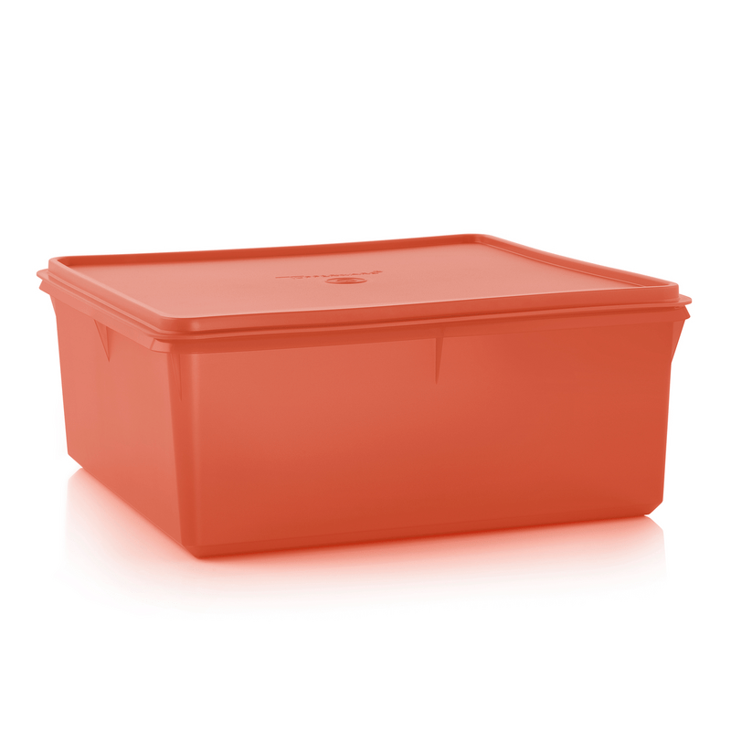Tupperware Wafeldoos 10 l - Lastore Tupperware